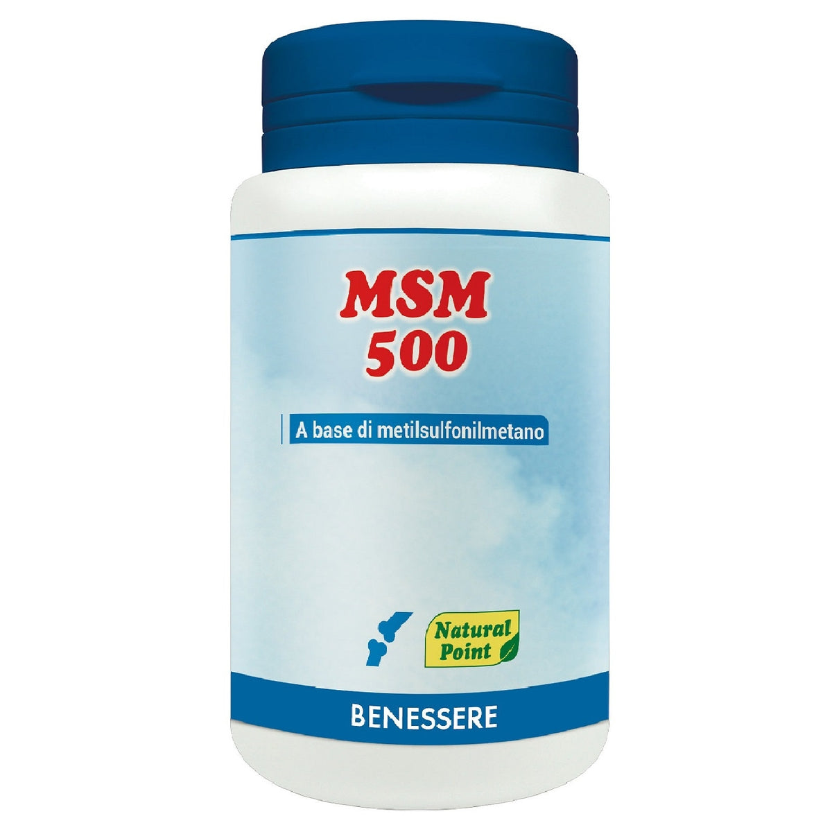 NATURAL POINT MSM 500 DA 100 CAPSULE – Onefitstore